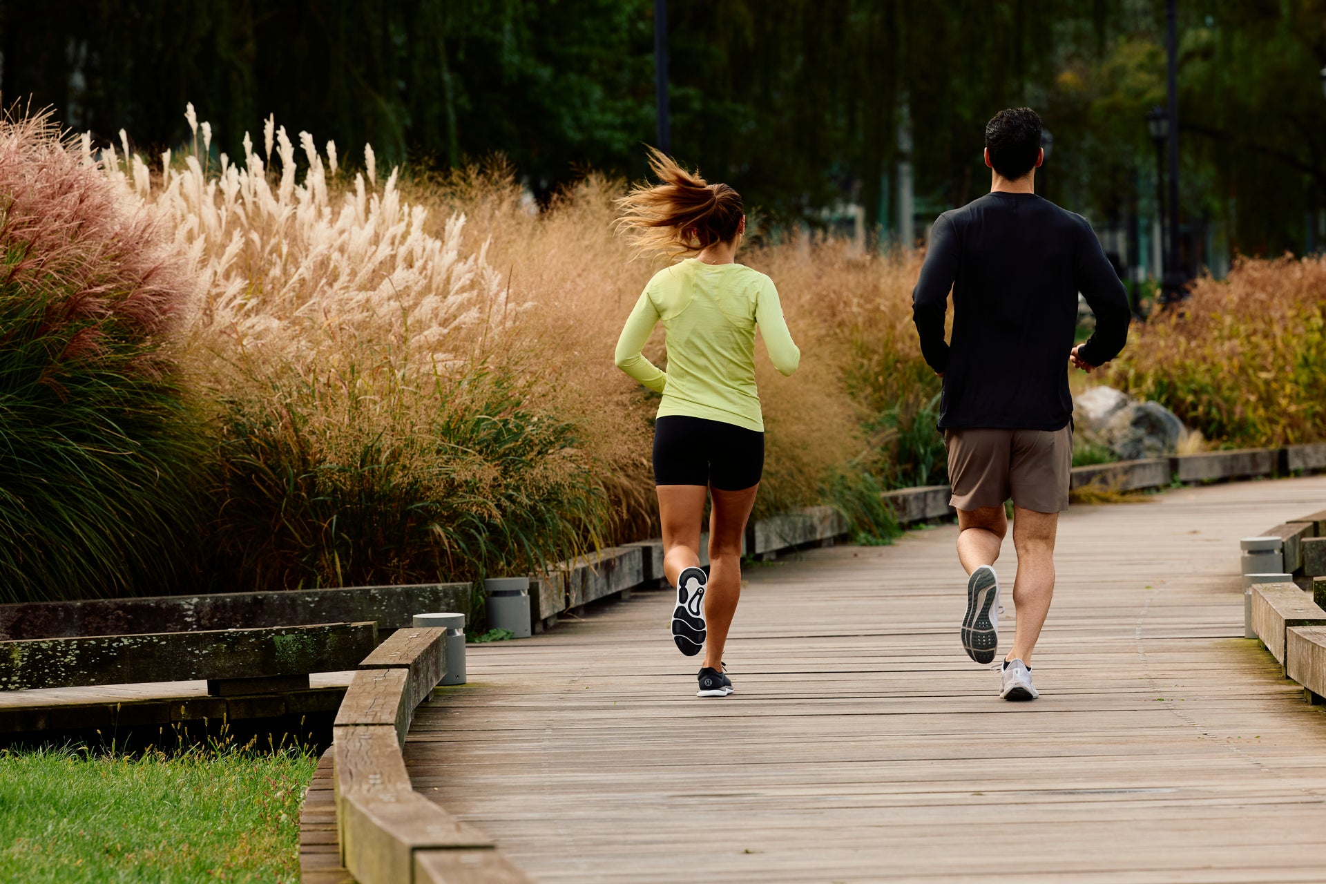 Pre-Workout – Gainful