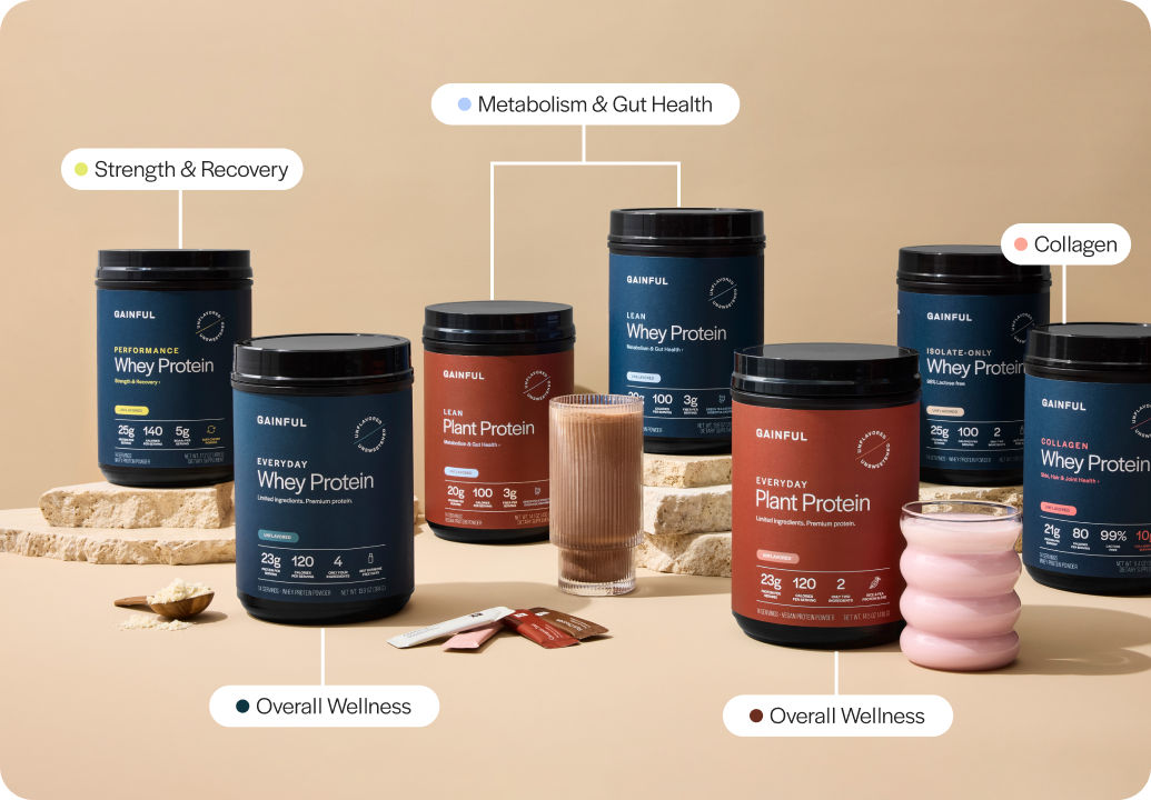 Protein Powder – Gainful